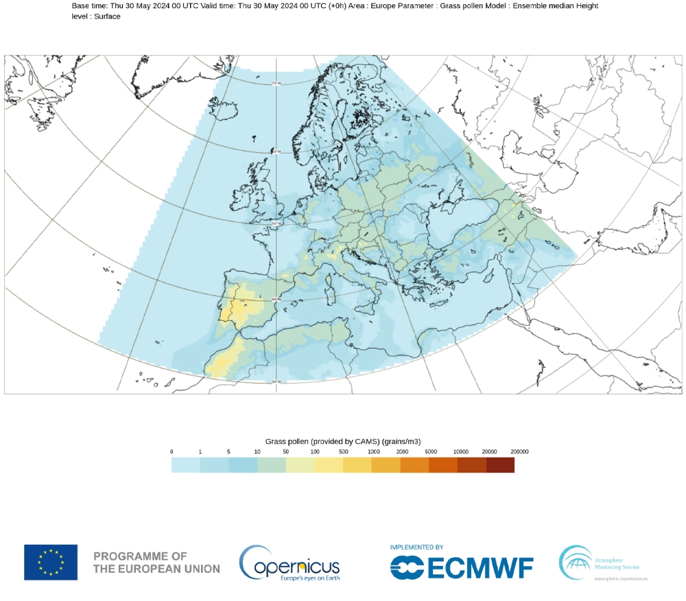 Leveraging Copernicus Pollen Data for Improved Healthcare and Allergy ...