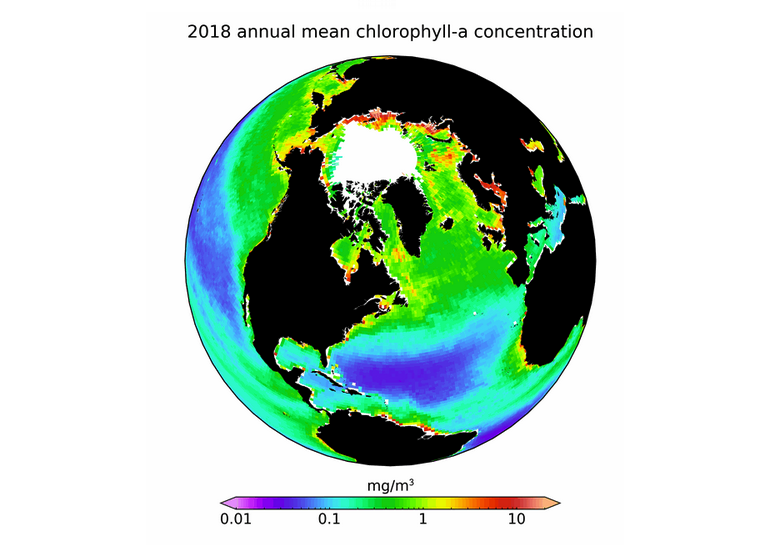 Ocean colour daily data from 1997 to present derived from satellite ...